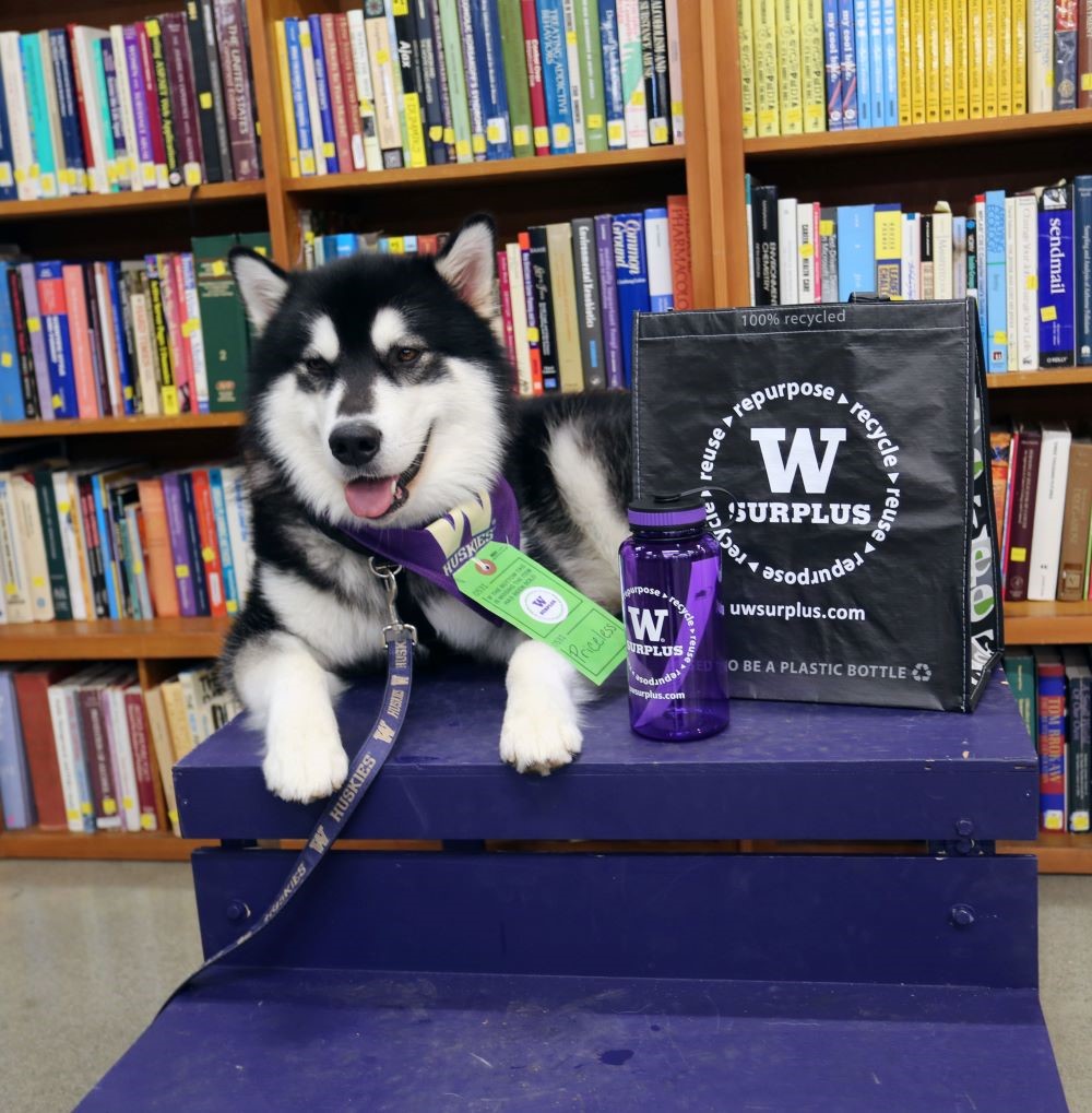 UW Surplus showcases curbside appeal | UW Facilities Blog