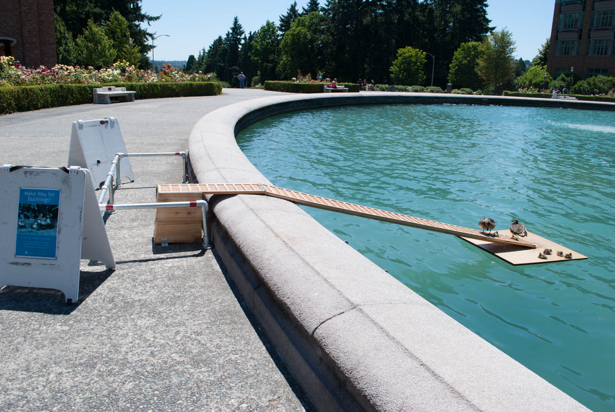 Draining Drumheller Fountain | UW Facilities Blog